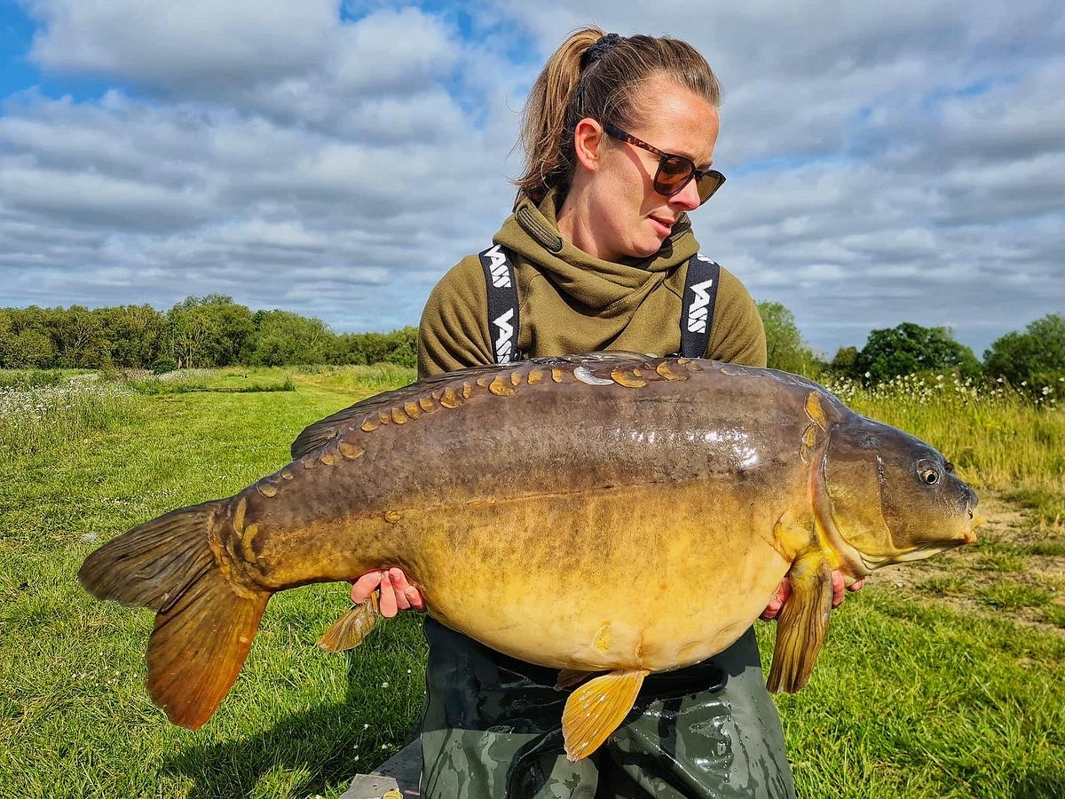 Berners Banger | Total Carp